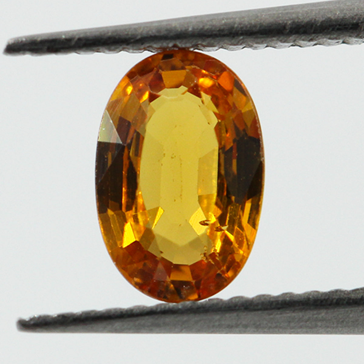 Precious Stones– Priceless Gems